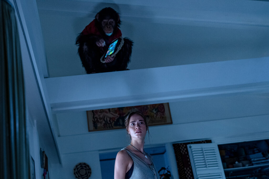 'Primate' review: no monkey business here